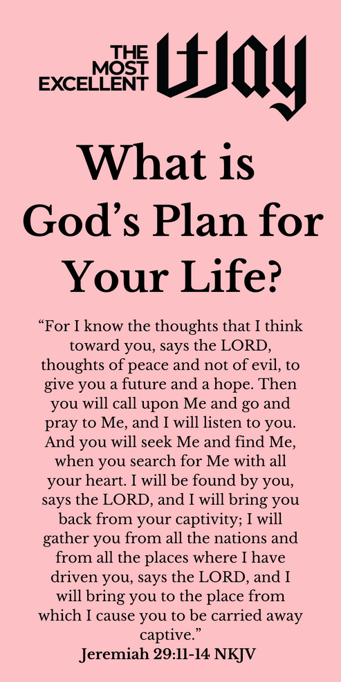 God's Plan Brochure - Physical Copy Bundles – TMEW Resources